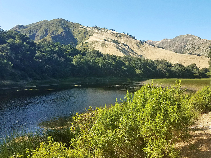 Nature's infinity pool: this serene reservoir nestled among golden hills offers a tranquil escape from the digital world.