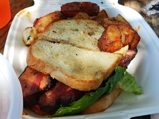 The BLT here isn't playing around&mdash;thick-cut bacon, garden-fresh lettuce, and toast that actually tastes like something. Potato wedges on the side? Yes, please.
