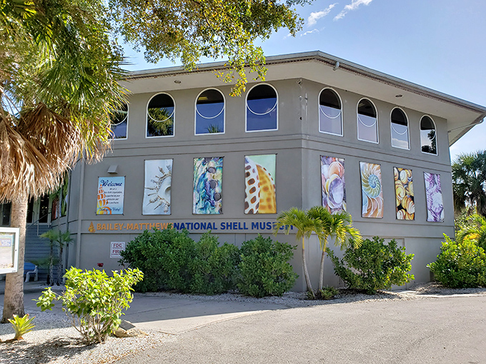 
Shell science never looked so stylish. The only museum where you'll find yourself genuinely fascinated by the former homes of mollusks.