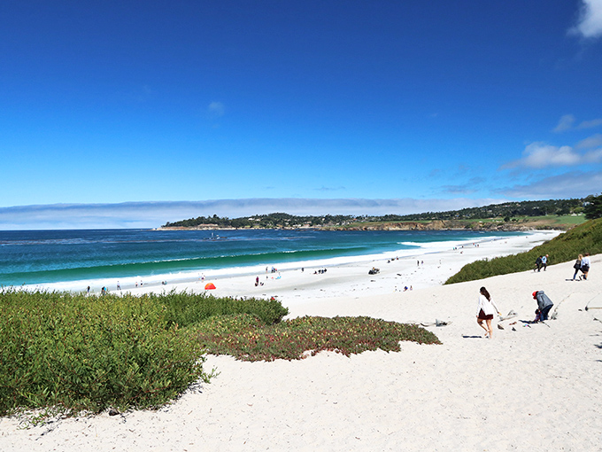 The beach where dogs have more fun than humans &ndash; Carmel's famous white sands invite barefoot wandering and paw prints in equal measure.