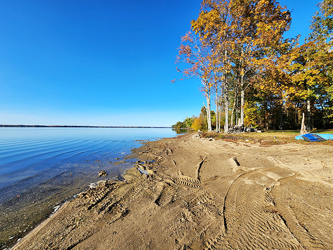 Nature's beach doesn't need umbrellas or vendors. Just pristine shoreline, crystal waters, and tire tracks from someone who clearly found their happy place.
