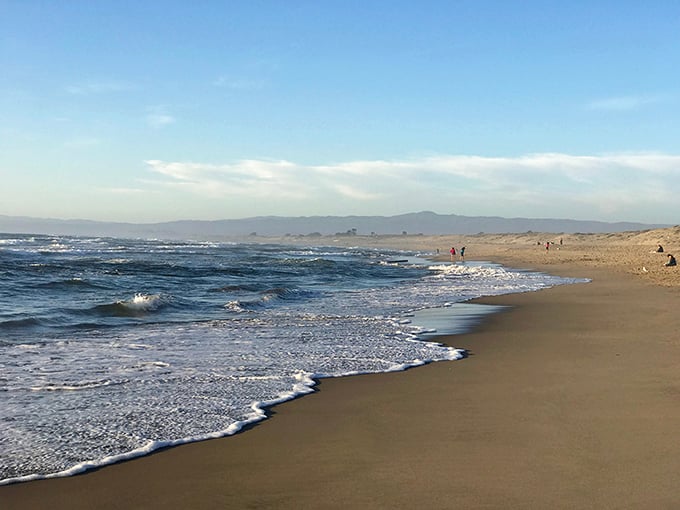 Where the land surrenders to the Pacific. Moss Landing's beaches offer that rare combination of solitude and spectacle that California coast-seekers dream about.