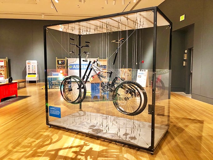 Not just any bicycle &ndash; this suspended two-wheeler tells the story of Indiana's surprising contributions to transportation innovation and design.