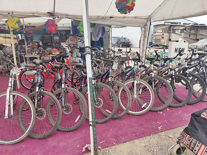 Desert transportation headquarters! These bikes aren't just for show&mdash;they're practical chariots for navigating Quartzsite's sprawling winter community.