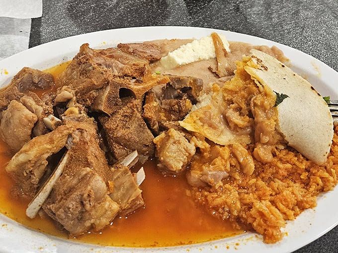 This plate tells you everything you need to know about priorities—meat that surrenders after long hours of cooking, seasoned rice, and handmade tortillas. No distractions necessary.