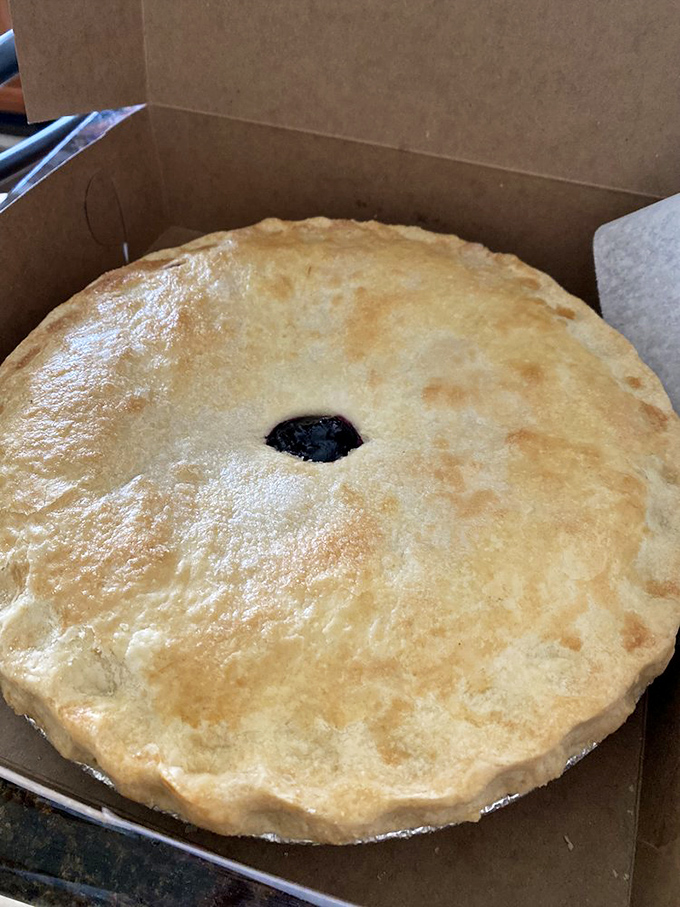 Behold the golden-crusted black raspberry pie—the kind that makes you consider ordering a second slice before finishing the first.