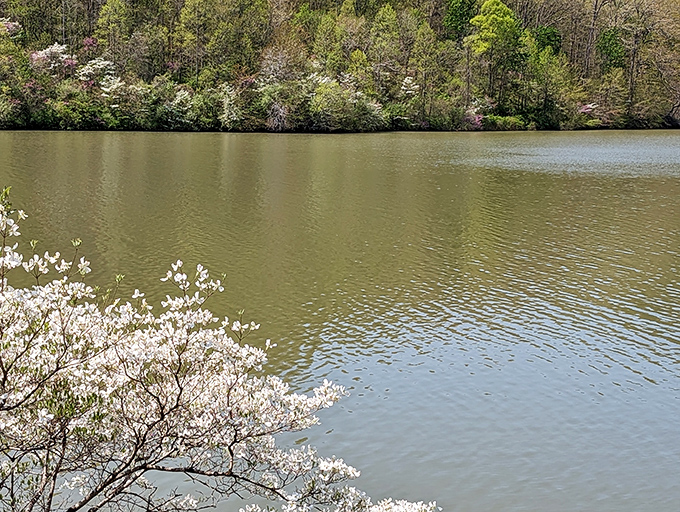 Spring arrives fashionably late but makes up for it with wildflowers that put florists to shame.