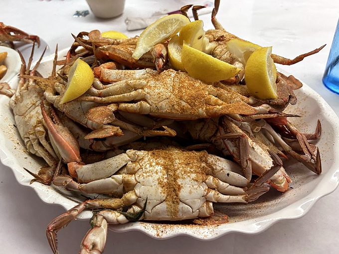 These blue crabs aren't just dinner; they're an interactive experience where the reward for your labor is sweet, delicate meat dusted with Old Bay.