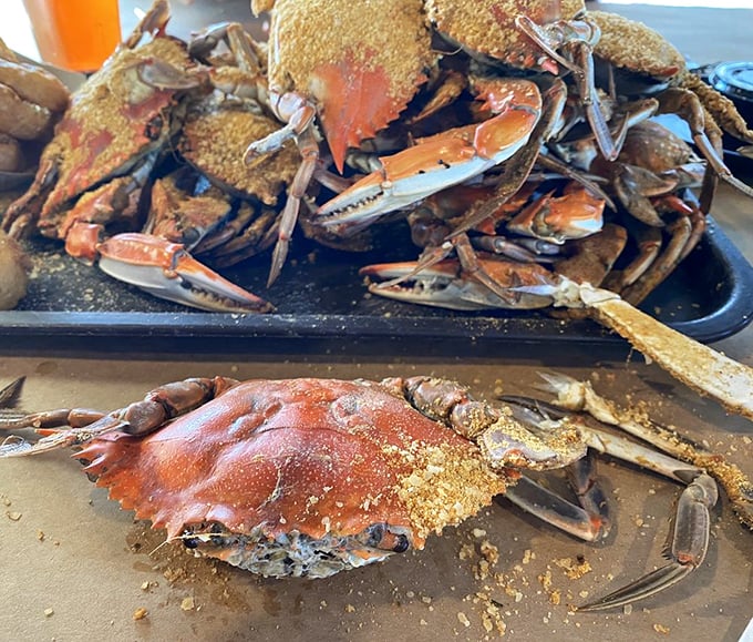 The main event arrives dusted in Old Bay glory. These magnificent crustaceans didn't sacrifice themselves for nothing &ndash; grab your mallet and get cracking!