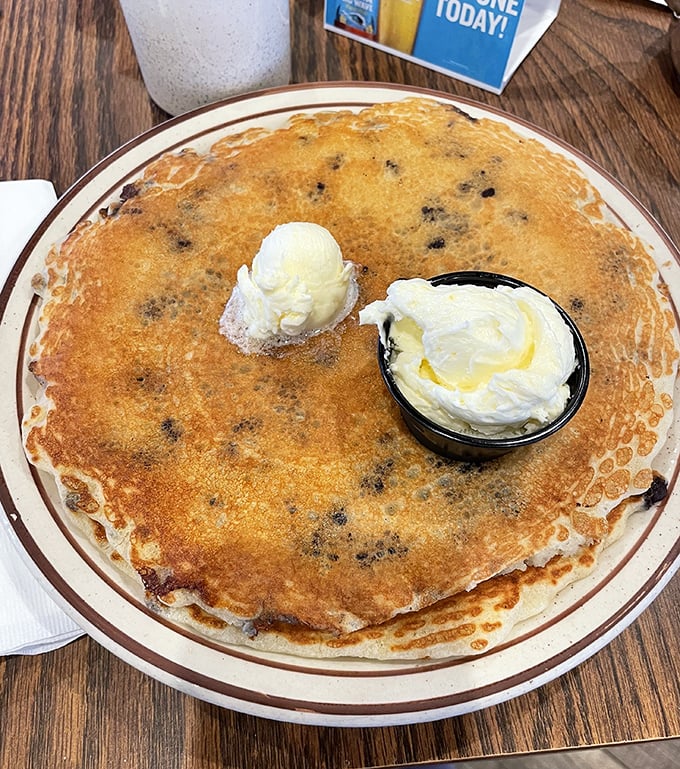 Breakfast of champions! A blueberry pancake the size of a frisbee, topped with a scoop of butter melting into those golden edges. Morning glory on a plate.