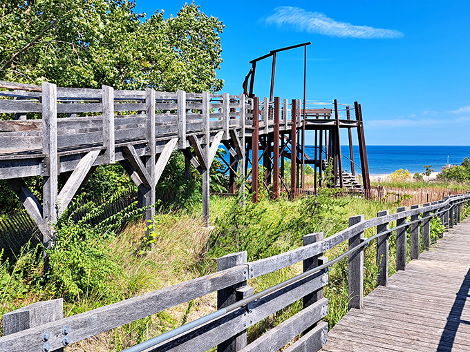 Not all who wander are lost, especially on these well-maintained boardwalks. The elevated wooden paths protect fragile dune ecosystems while guiding visitors to spectacular views.