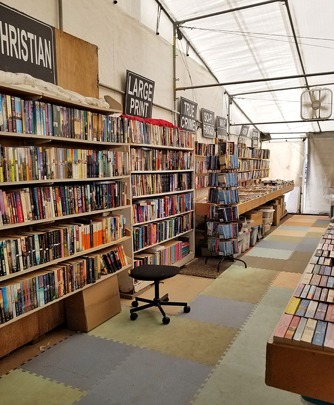 The book section is organized with librarian-level precision, offering literary escapes categorized by genre for easy browsing.