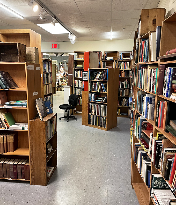 The book section: where literary treasures and forgotten bestsellers create a paper time machine for curious minds.