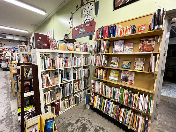 The book section rivals many small-town libraries. Browse everything from bestsellers to cookbooks that might inspire your next kitchen adventure.