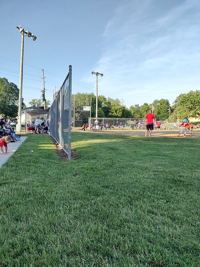 Summer mornings at Brown Memorial Park bring families together for America's pastime, complete with cheering parents and determined little sluggers.