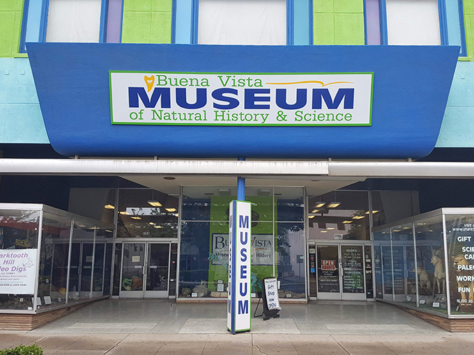 The Buena Vista Museum's vibrant fa&ccedil;ade promises adventures in natural history without the admission prices or pretension of big-city institutions.