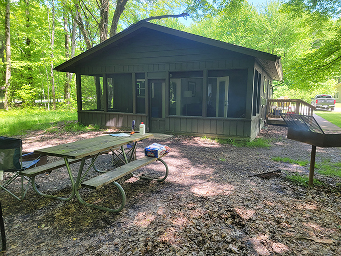 Rustic luxury at its finest &ndash; these cabins offer the perfect compromise for those who want to commune with nature but still appreciate a solid roof.