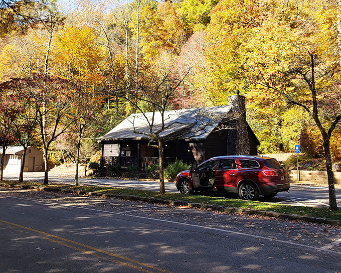 Fall foliage frames the park's cabins like Mother Nature decided to redecorate using every warm color in her arsenal.