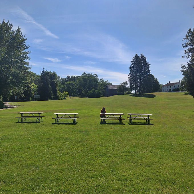 Expansive green spaces provide peaceful picnic spots where families can unwind between high-octane racing adventures.