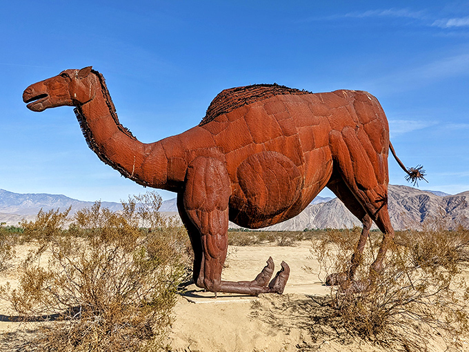 The ship of the desert sails across sandy waves. This metal dromedary looks ready for its close-up on "Lawrence of Arabia 2: Electric Camel-oo."