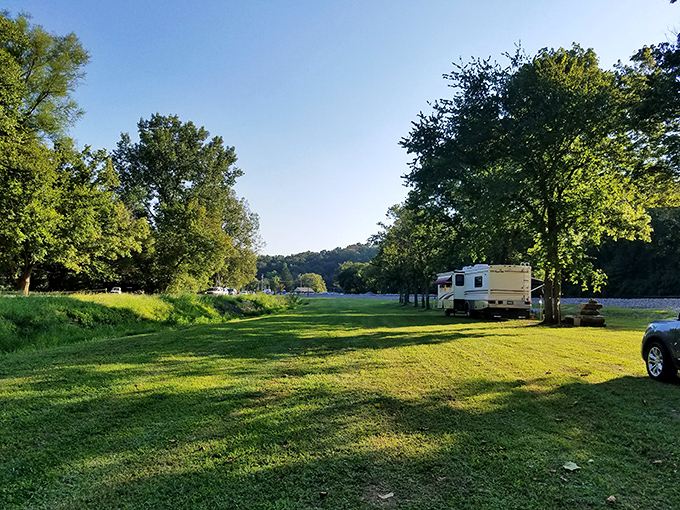 Camping in Makanda means waking up to birdsong instead of alarm clocks and remembering what real quiet sounds like.