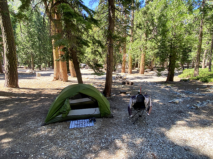 Camping nirvana achieved. This pine-scented slice of paradise proves you don't need five stars when you've got a million overhead.