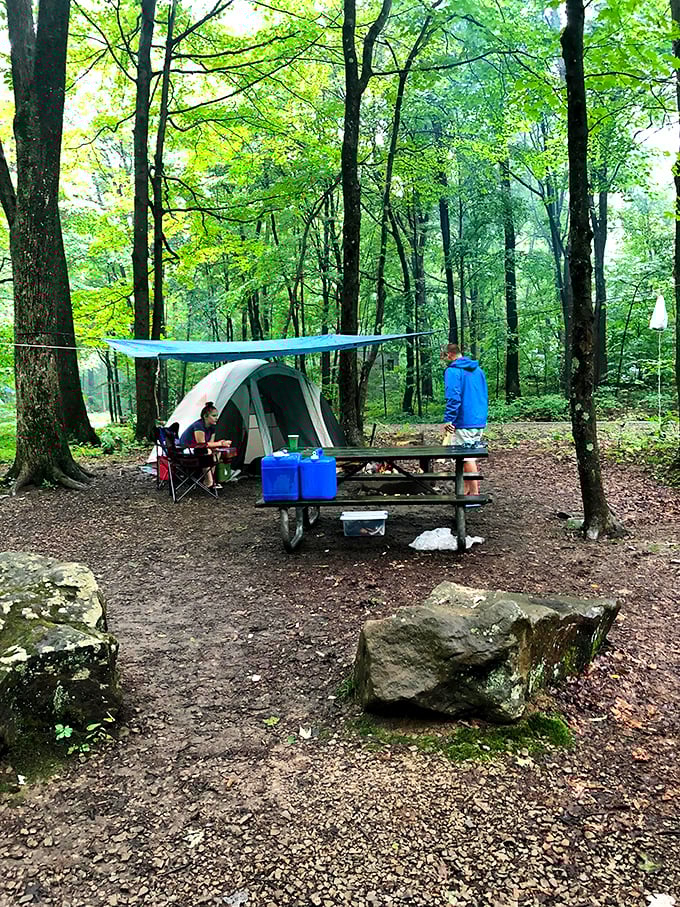 Camping among the trees at Ohiopyle: where s'mores taste better, stars shine brighter, and morning coffee becomes a religious experience.
