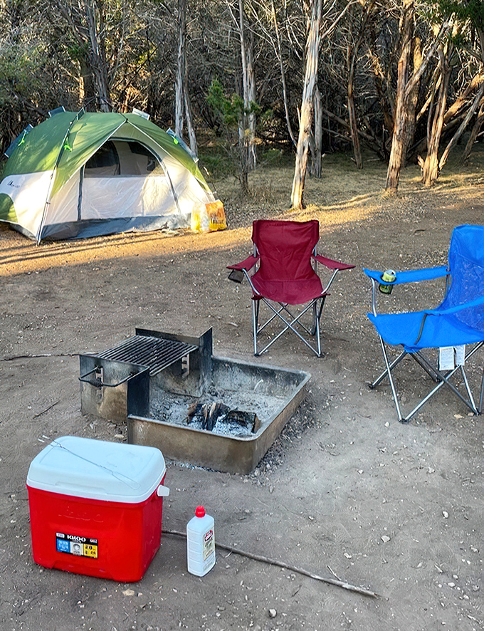 Camping 101: Fire pit, folding chairs, and that magical moment when you realize you forgot the bottle opener but packed three types of sunscreen.