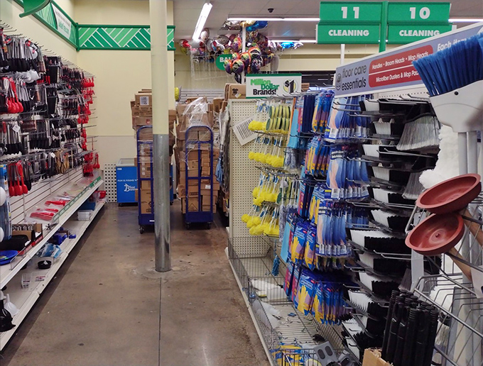 The cleaning aisle&mdash;where domestic heroes arm themselves for battle against household chaos without emptying their wallets.
