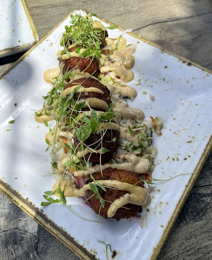 Conch fritters that look like they were crafted by someone who truly understands island soul food.