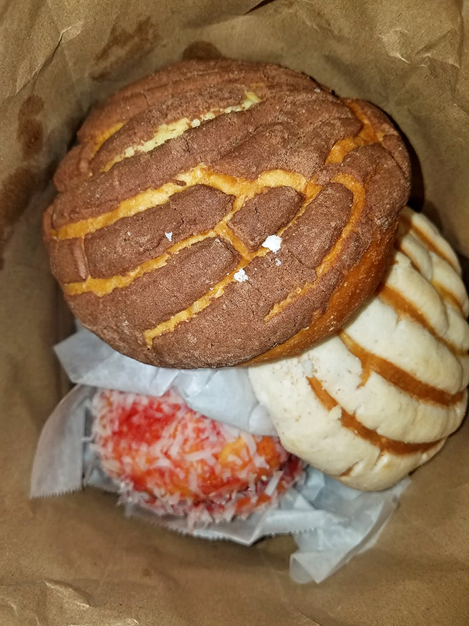 Behold the concha&mdash;Mexico's answer to the donut, but with personality. That chocolate-striped top isn't just decoration; it's a flavor roadmap to happiness.