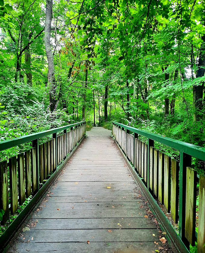 At Cool Creek Park, wooden walkways lead you through emerald wonderlands. It's like walking through a Bob Ross painting that doesn't cost a dime to enjoy.