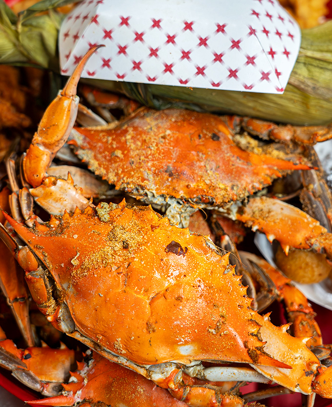 Dusted with Old Bay and ready for battle, these orange-armored warriors surrender the sweetest meat to those willing to work for it.