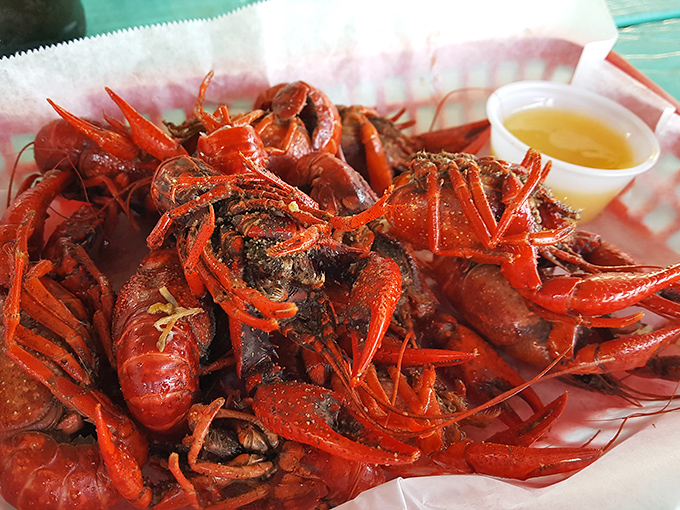 Crawfish so perfectly seasoned, they make you wonder why you'd ever waste time eating anything else in Florida.