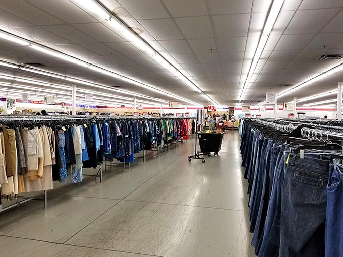 The denim paradise where your next favorite pair of jeans is hiding, organized with military precision but priced with magnificent mercy.