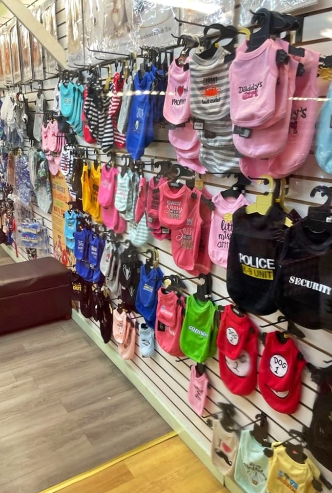 Doggy fashion reaches new heights with these pint-sized ensembles. "Daddy's Girl" and "Police" vests prove even Fido deserves a wardrobe upgrade.