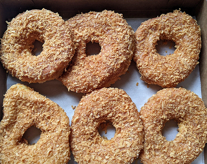 Coconut-topped donuts lined up like tropical soldiers ready for duty. These golden rings aren't just breakfast&mdash;they're vacation vibes without the airfare. 