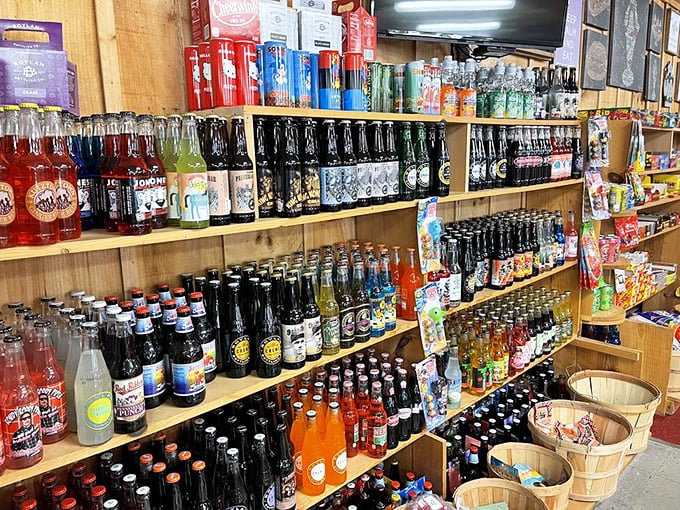 Refreshing beverages wait patiently in coolers, ready to quench thirsts worked up from all that serious treasure hunting.