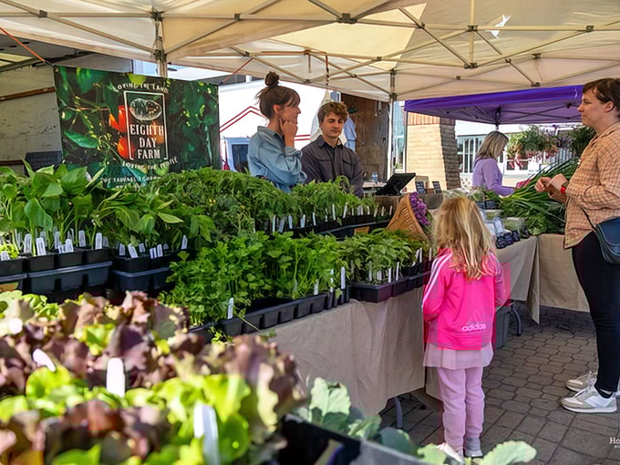 At Holland's farmers market, the phrase "farm-to-table" isn't a trendy concept—it's simply how things have always been done here.