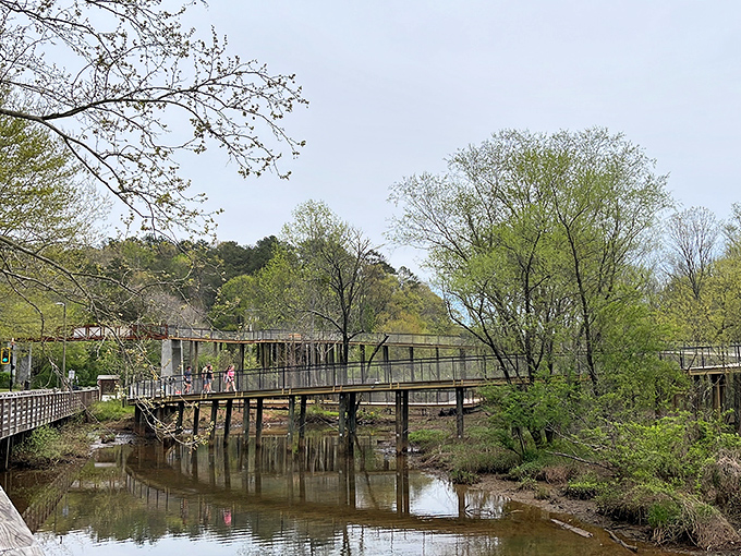 Engineering meets nature as this elevated boardwalk curves gracefully over wetlands, letting you explore without disturbing the ecosystem below.