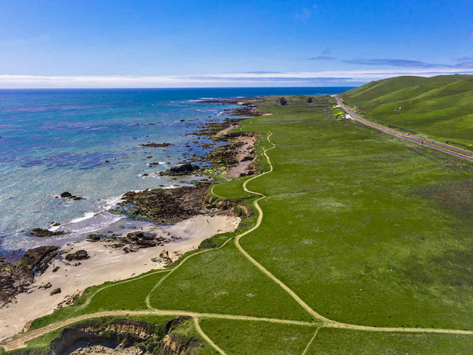 Spring transforms Estero Bluffs into an emerald paradise. Those little trails? They lead to secret beaches where you'll swear you're the first visitor.