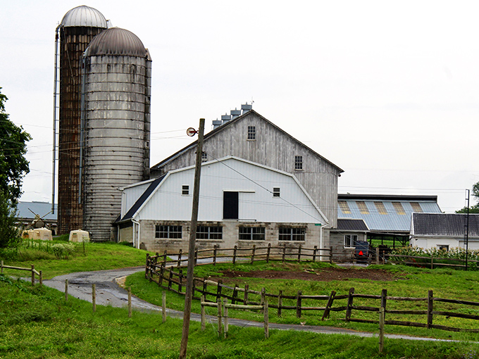 Classic white barns with twin silos punctuate the landscape &ndash; architectural icons that have become as symbolically American as apple pie itself.