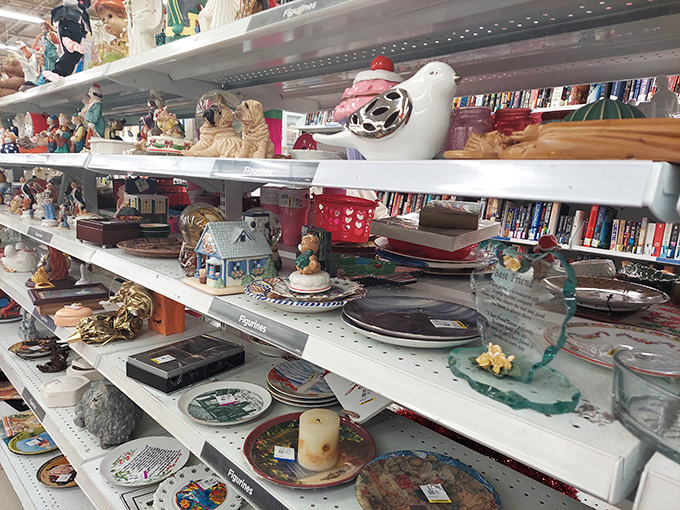 This menagerie of figurines tells stories of living room shelves past&mdash;each porcelain dog and ceramic bird awaiting its next chapter.