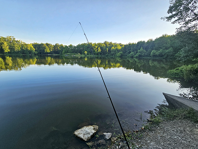 The lake's glass-like surface breaks only for fishing lines. On mornings like this, even fish must pause to appreciate the perfect symmetry of trees reflected in water.