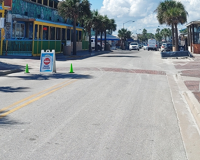 Downtown charm meets coastal cool on this palm-lined street. No "Closed for Season" signs here—just year-round Florida living at its finest.