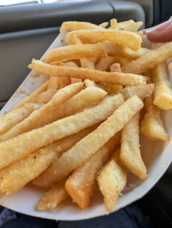 Golden, crispy, and perfectly salted&mdash;these fries aren't trying to reinvent the wheel, they're just mastering it one batch at a time.