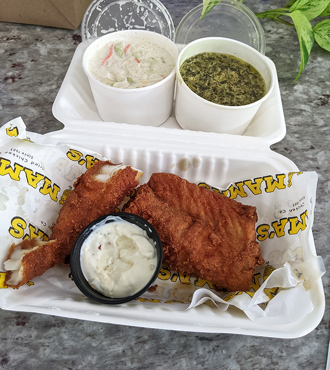 Perfectly fried catfish flanked by creamy sides that could make a vegetable-hater reconsider their life choices. The fish practically begs to be dunked in that tartar sauce.