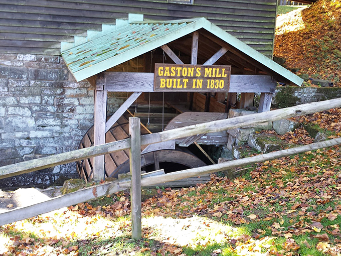 Gaston's Mill has been grinding away since 1830—the original farm-to-table movement before it was cool enough for Instagram.