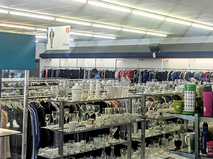 Crystal and glassware gleam under fluorescent lights, each shelf a museum of domestic history waiting to grace new dinner tables.