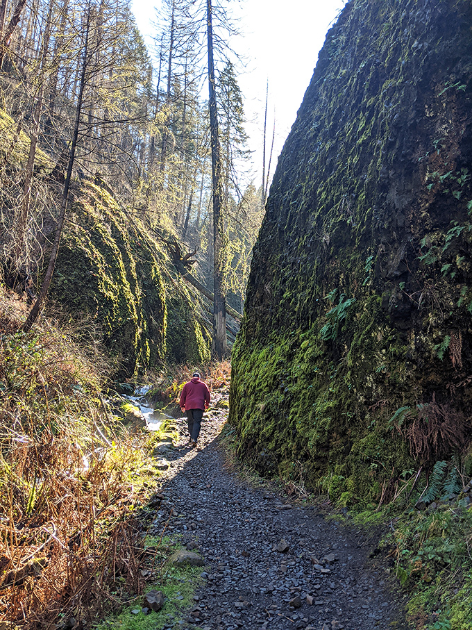 Walking through this moss-covered corridor feels like stepping into nature's own cathedral, complete with living green walls and a soundtrack of rushing water.